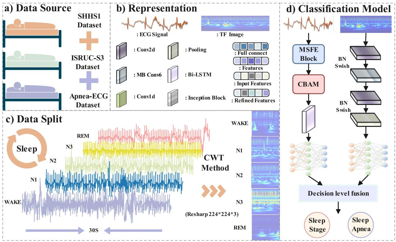 Prof. Yi Zhou's team advances sleep staging research with innovative ...